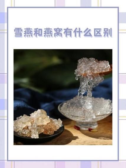 雪燕和燕窝的功效区别_哪个更适合女人吃-第3张图片-山城妙识