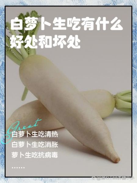 生吃白萝卜的功效与作用_生吃白萝卜的禁忌有哪些-第1张图片-山城妙识