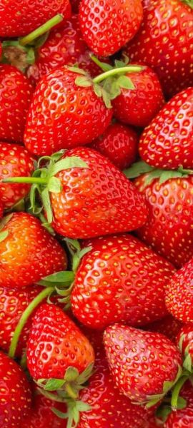 哪些水果最好吃_好吃的水果图片怎么拍-第3张图片-山城妙识 哪些水果最好吃_好吃的水果图片怎么拍-第3张图片-山城妙识