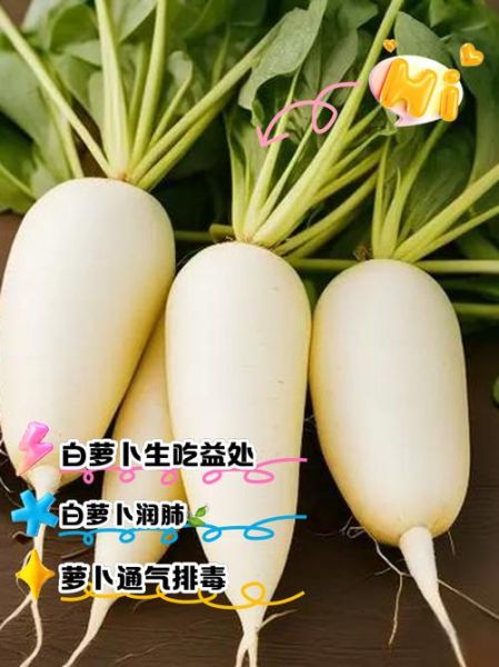 生吃白萝卜的功效与作用_生吃白萝卜的禁忌有哪些-第3张图片-山城妙识