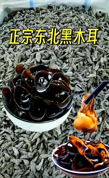 黑木耳凉拌怎么做好吃_黑木耳凉拌要不要焯水-第3张图片-山城妙识 黑木耳凉拌怎么做好吃_黑木耳凉拌要不要焯水-第3张图片-山城妙识