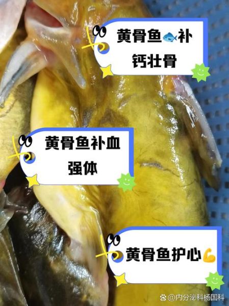 黄骨鱼的营养价值及功效_孕妇可以吃吗-第2张图片-山城妙识 黄骨鱼的营养价值及功效_孕妇可以吃吗-第2张图片-山城妙识