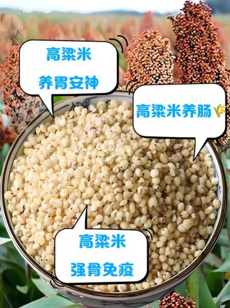 孕妇能吃高粱米吗_高粱米对孕妇有什么好处-第3张图片-山城妙识