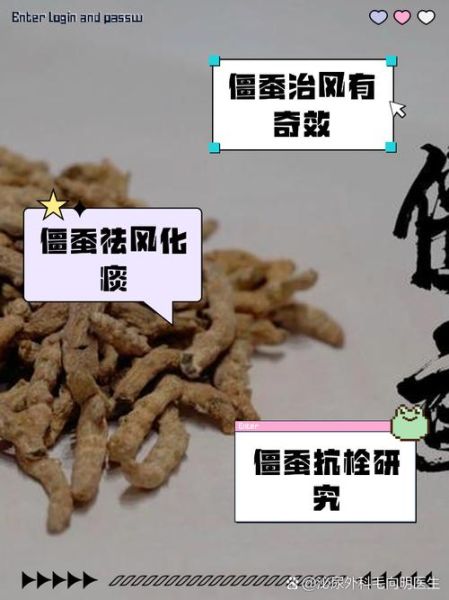 僵蚕的功效与作用有哪些_僵蚕能治什么病-第1张图片-山城妙识