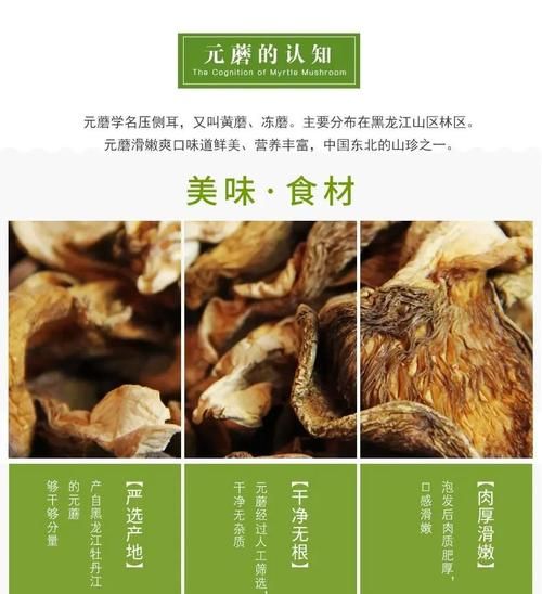 元蘑的功效与作用_元蘑怎么吃最好-第1张图片-山城妙识