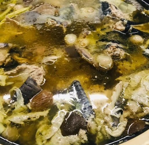 清炖蛇汤怎么做_清炖蛇汤的做法窍门-第1张图片-山城妙识