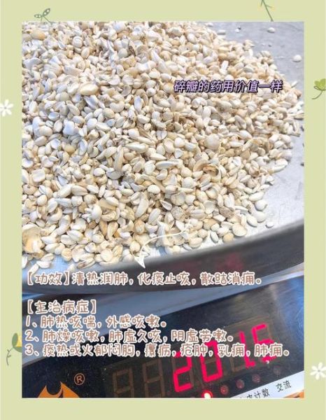 贝母图片大全高清图片_如何辨别真假贝母-第3张图片-山城妙识