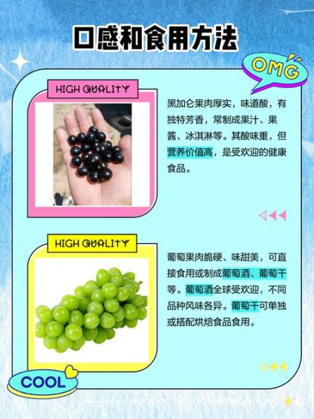 黑加仑图片_黑加仑和葡萄的区别-第1张图片-山城妙识