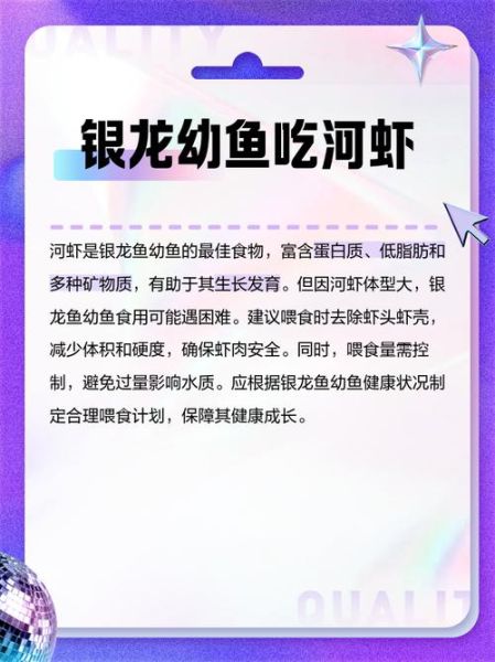 银龙鱼多少钱一条_银龙鱼价格影响因素-第1张图片-山城妙识