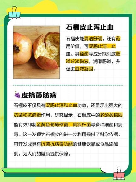 石榴皮能治腹泻吗_石榴皮的功效与作用-第3张图片-山城妙识