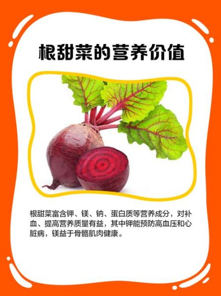 根甜菜的功效与作用_根甜菜怎么吃-第3张图片-山城妙识
