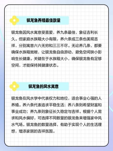 银龙鱼多少钱一条_银龙鱼价格影响因素-第2张图片-山城妙识