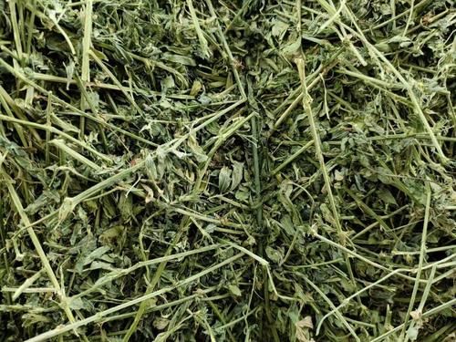 干苜蓿草价格多少钱一吨_影响干苜蓿草价格的因素有哪些-第1张图片-山城妙识