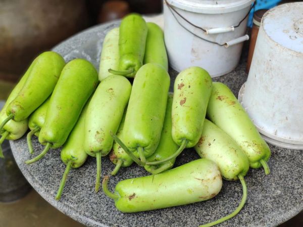 蒲瓜怎么吃_蒲瓜的家常做法大全-第1张图片-山城妙识