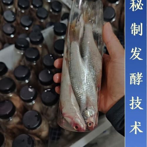 塘鲺鱼怎么钓_钓塘鲺鱼用什么饵-第3张图片-山城妙识