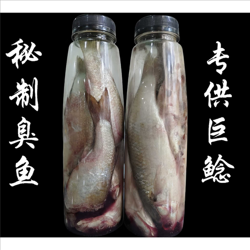 塘鲺鱼怎么钓_钓塘鲺鱼用什么饵-第1张图片-山城妙识