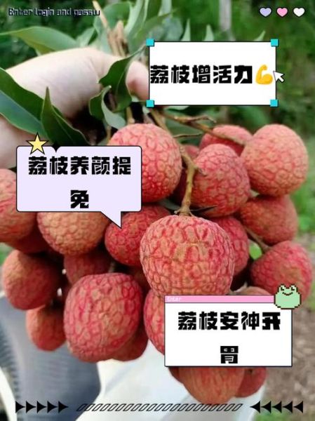 荔枝热量高吗_吃荔枝容易长胖吗-第1张图片-山城妙识