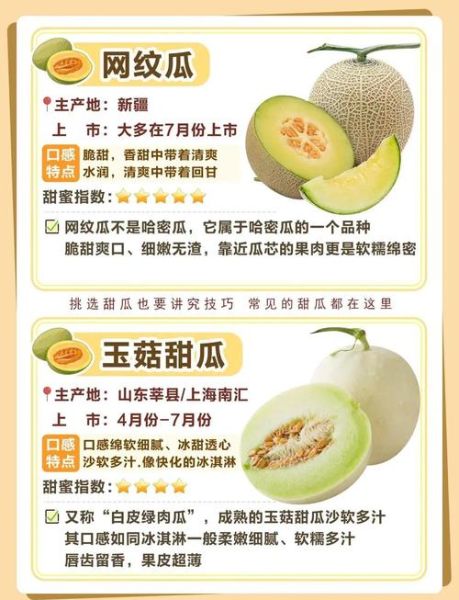 甜瓜怎么挑选_甜瓜种植技巧-第1张图片-山城妙识