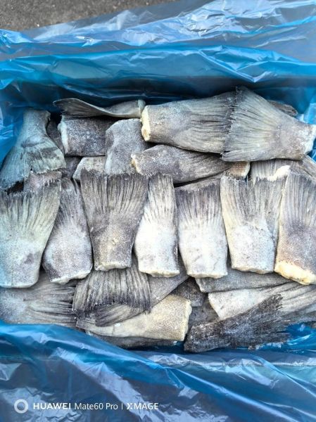 鲽鱼尾怎么做好吃_鲽鱼尾营养价值高吗-第2张图片-山城妙识