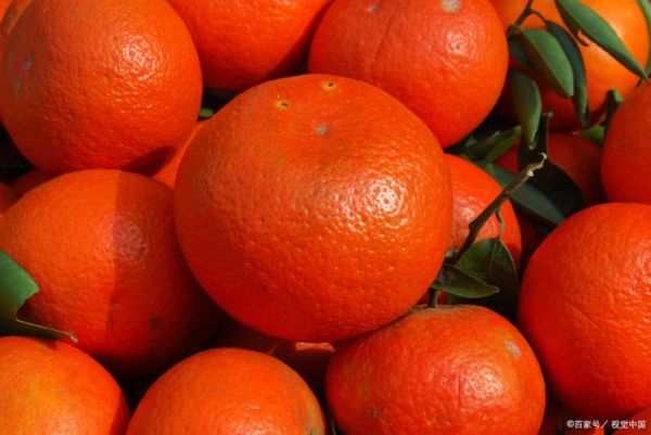 血橙和普通橙子的区别_血橙为什么果肉是红色的-第1张图片-山城妙识