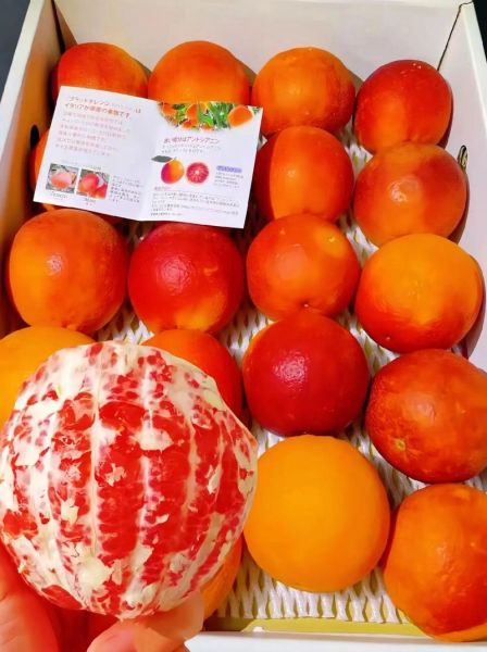 血橙和普通橙子的区别_血橙为什么果肉是红色的-第3张图片-山城妙识