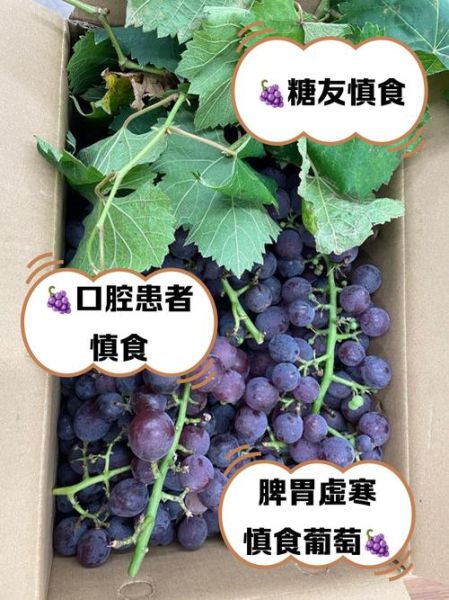 葡萄的功效与作用及禁忌_哪些人不能吃葡萄-第3张图片-山城妙识