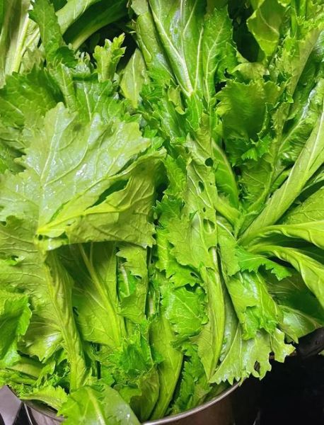 雪里蕻怎么做好吃_腌制雪里蕻的家常做法-第3张图片-山城妙识