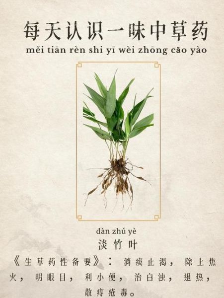 淡竹叶喝多了的副作用_淡竹叶泡水一天喝多少合适-第3张图片-山城妙识