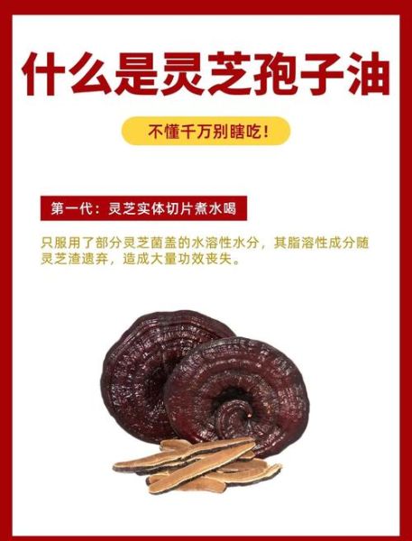 灵芝孢子油的功效与作用_灵芝孢子油怎么吃效果最好-第3张图片-山城妙识
