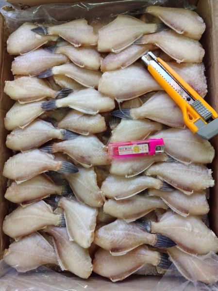 马面鱼是不是剥皮鱼_马面鱼剥皮鱼区别-第1张图片-山城妙识