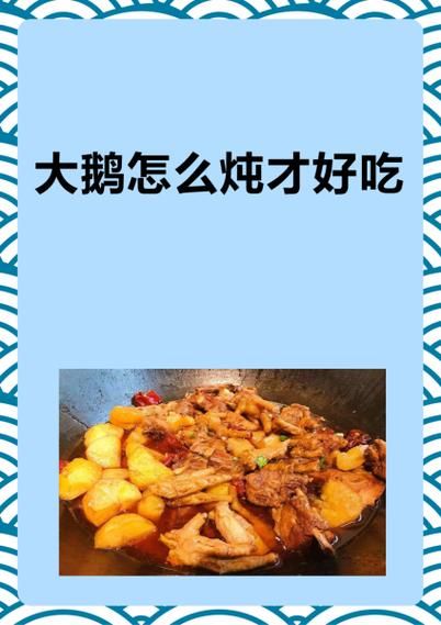 大鹅怎么炖才好吃_大鹅炖多久才软烂-第3张图片-山城妙识