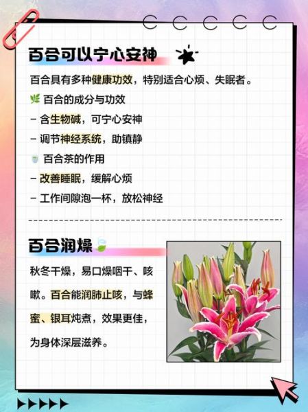 鲜百合怎么吃最好_鲜百合的功效与作用-第2张图片-山城妙识