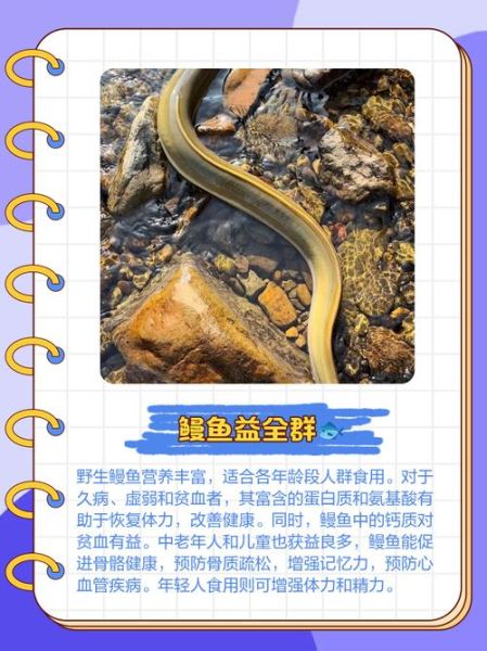 鳗鱼种类图片大全集_如何区分常见鳗鱼-第3张图片-山城妙识