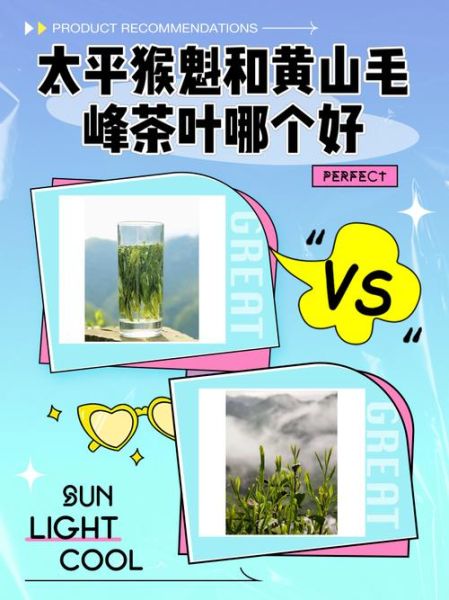 黄山十大名茶有哪些_黄山毛峰和太平猴魁区别-第1张图片-山城妙识