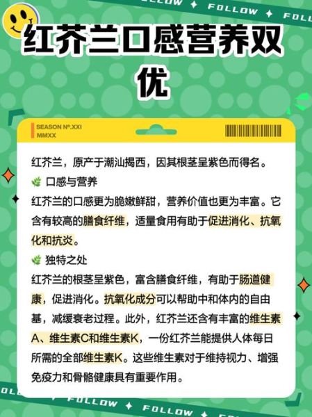红芥菜的功效与作用_红芥菜的禁忌有哪些-第3张图片-山城妙识