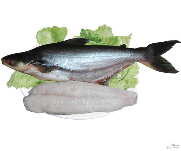 深海鳕鱼图片大全_深海鳕鱼长什么样-第1张图片-山城妙识 深海鳕鱼图片大全_深海鳕鱼长什么样-第1张图片-山城妙识