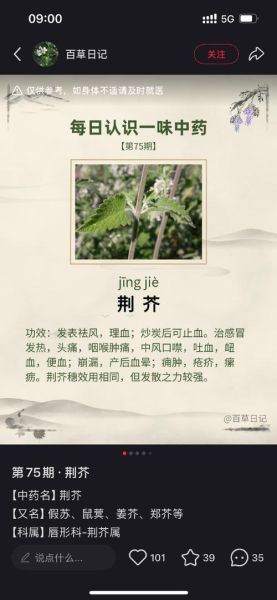 荆芥菜的功效与作用_荆芥菜怎么吃最好-第3张图片-山城妙识