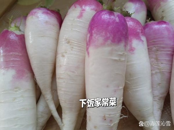 小水萝卜图片_怎么拍才好看-第2张图片-山城妙识