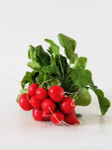 小水萝卜图片_怎么拍才好看-第1张图片-山城妙识