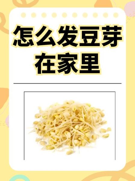 黄豆芽怎么发_黄豆芽发芽最快方法-第3张图片-山城妙识