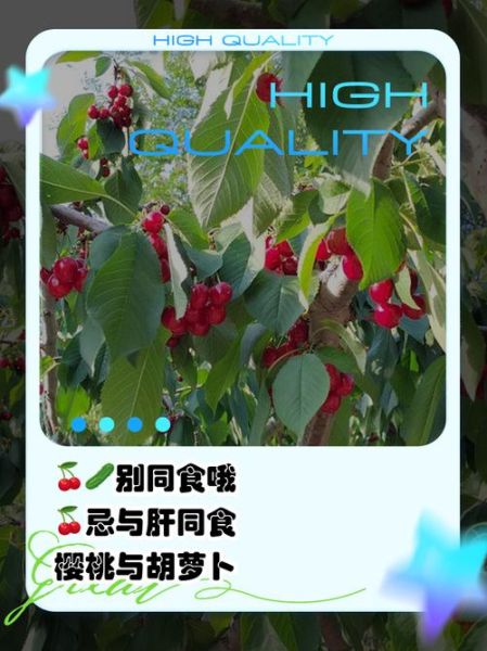 樱桃不能和什么一起吃_相克食物清单-第3张图片-山城妙识