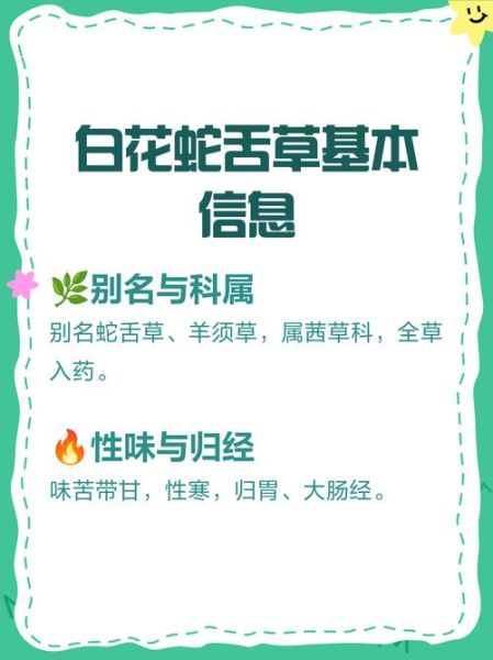 白花蛇舌草和半枝莲能一起喝吗_白花蛇舌草半枝莲功效与作用-第1张图片-山城妙识 白花蛇舌草和半枝莲能一起喝吗_白花蛇舌草半枝莲功效与作用-第1张图片-山城妙识