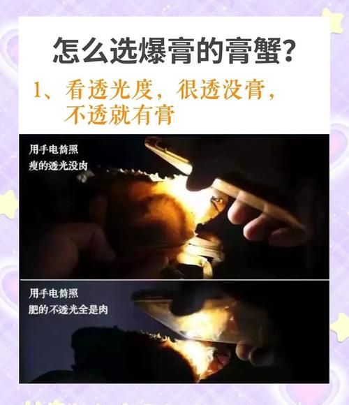 三门青蟹放冰箱会死吗_三门青蟹冷藏保存方法-第1张图片-山城妙识 三门青蟹放冰箱会死吗_三门青蟹冷藏保存方法-第1张图片-山城妙识