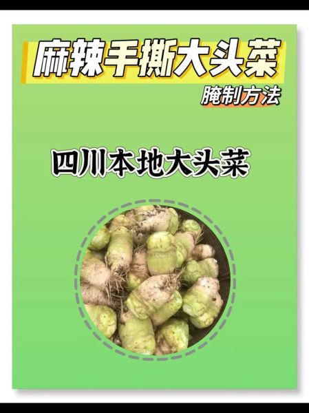 南方大头菜图片_大头菜怎么腌制才脆-第3张图片-山城妙识
