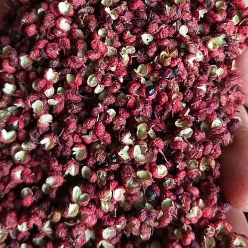 川椒长什么样_川椒和花椒的区别-第3张图片-山城妙识