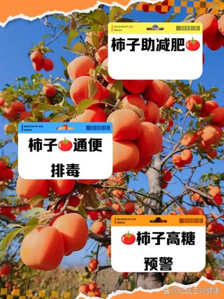 吃柿子会胖吗_柿子热量高不高-第1张图片-山城妙识 吃柿子会胖吗_柿子热量高不高-第1张图片-山城妙识