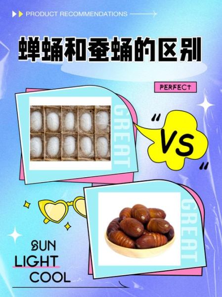 茧蛹和蚕蛹的区别_茧蛹是蚕蛹吗-第1张图片-山城妙识