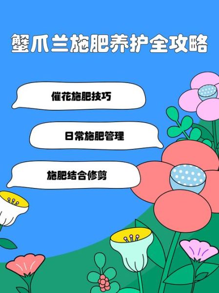 蟹爪兰用什么肥料最好_蟹爪兰施肥的正确方法-第1张图片-山城妙识