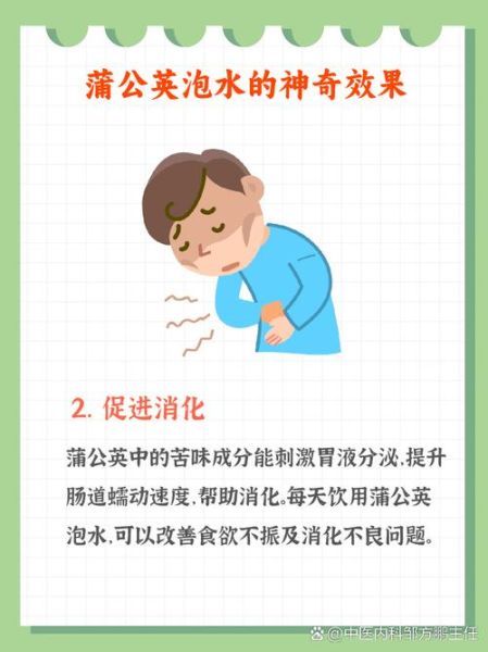 蒲公英有什么功效_蒲公英泡水喝的正确方法-第3张图片-山城妙识 蒲公英有什么功效_蒲公英泡水喝的正确方法-第3张图片-山城妙识