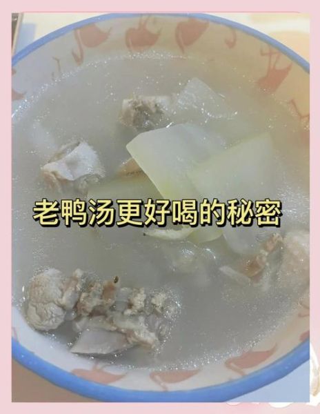 鸭肉煲冬瓜汤怎么做_冬瓜汤去腥技巧-第2张图片-山城妙识 鸭肉煲冬瓜汤怎么做_冬瓜汤去腥技巧-第2张图片-山城妙识